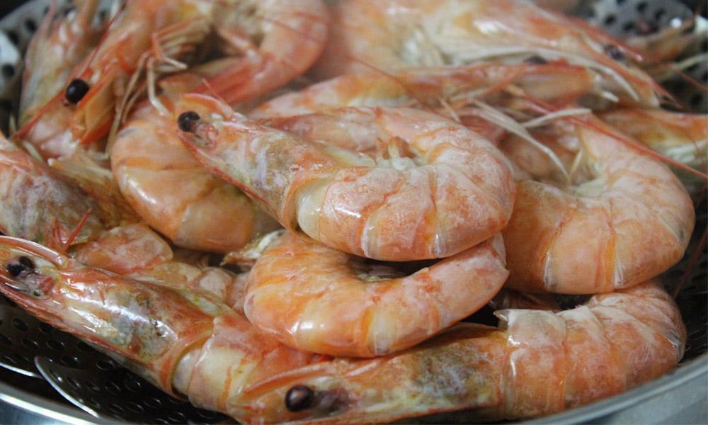 Fisheries Dept: Shrimp samples free from prohibited antibiotics
