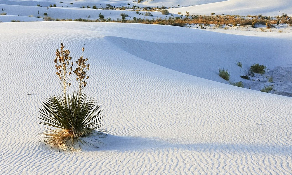 Snow falls on Sahara; Arctic ice tethers near melting point