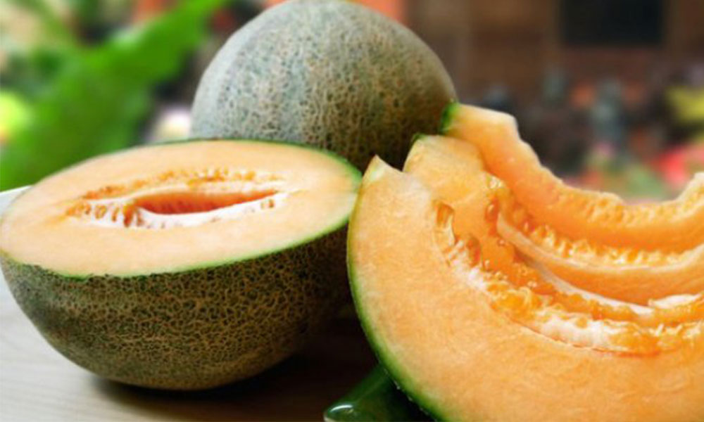 Import rock melon dari Australia disekat