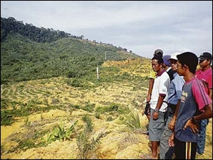 Orang Asli Gua Musang bantah ladang rakyat