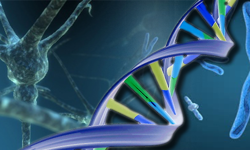 Pengesan cepat DNA babi dicipta, hasil dalam sejam