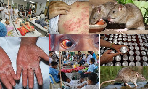 Teen suspected infected by rat urine in stable condition